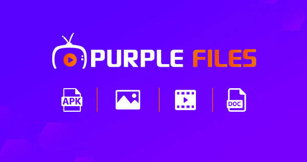 File Transfer — Upload and share your files